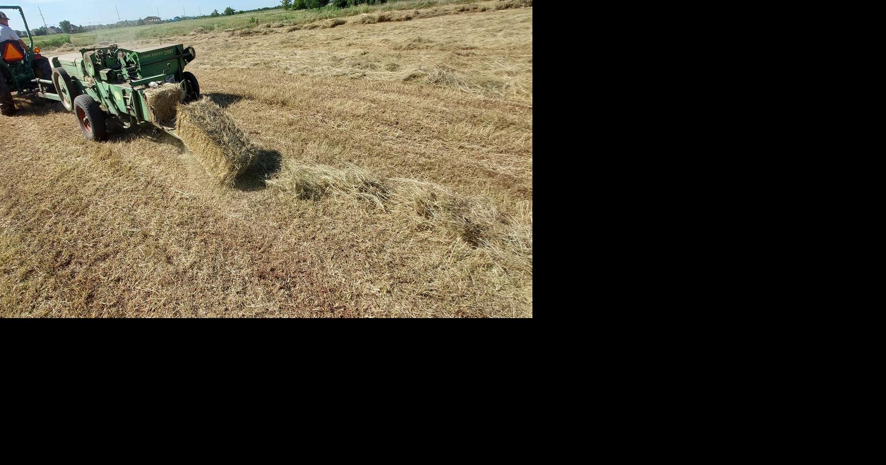 Hay farmers see recovery, but wary about hot weather | News ...