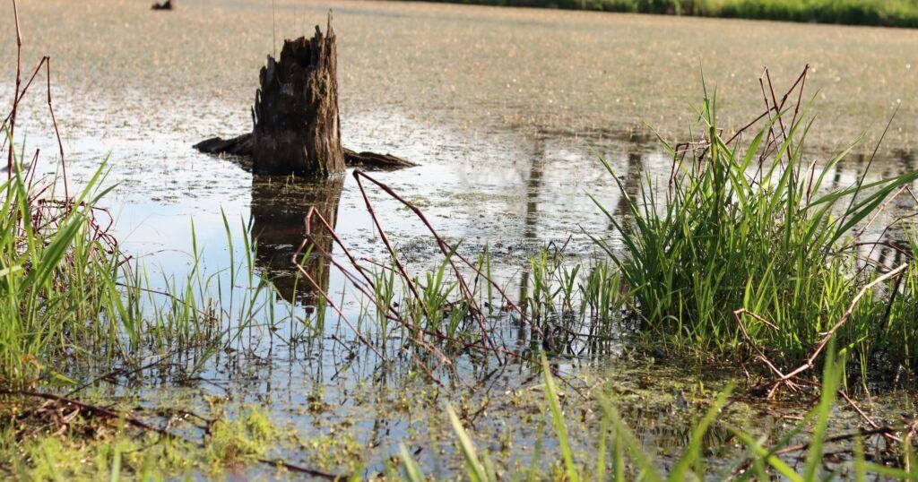US House advances bill around water permits; environmental groups say ...
