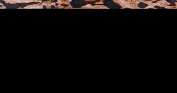 Mary Lou Malloy | Edmond | normantranscript.com