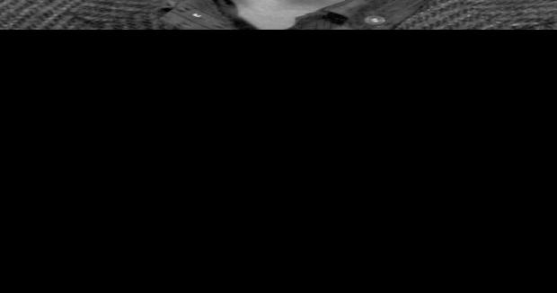 Gary Lynn Taylor | Edmond | normantranscript.com