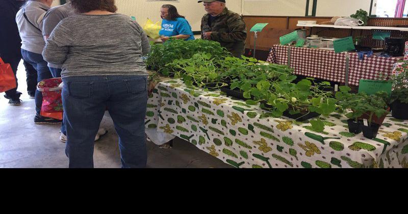 Norman Farm Market open for spring | Local News | normantranscript.com
