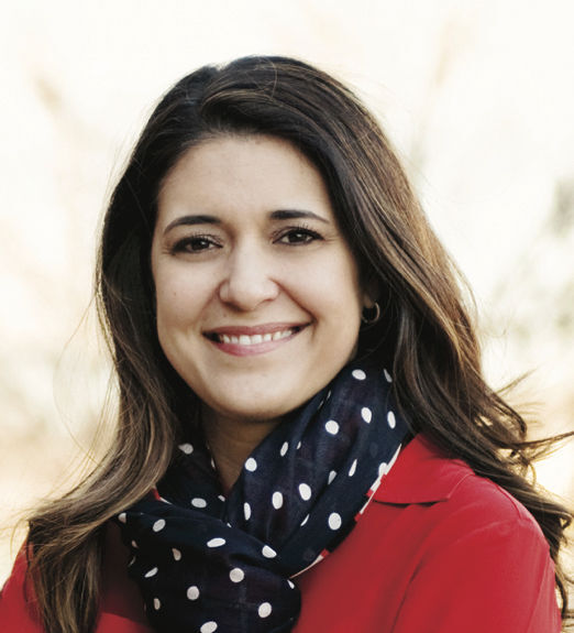 Close congressional race feeds off negative energy | News ...