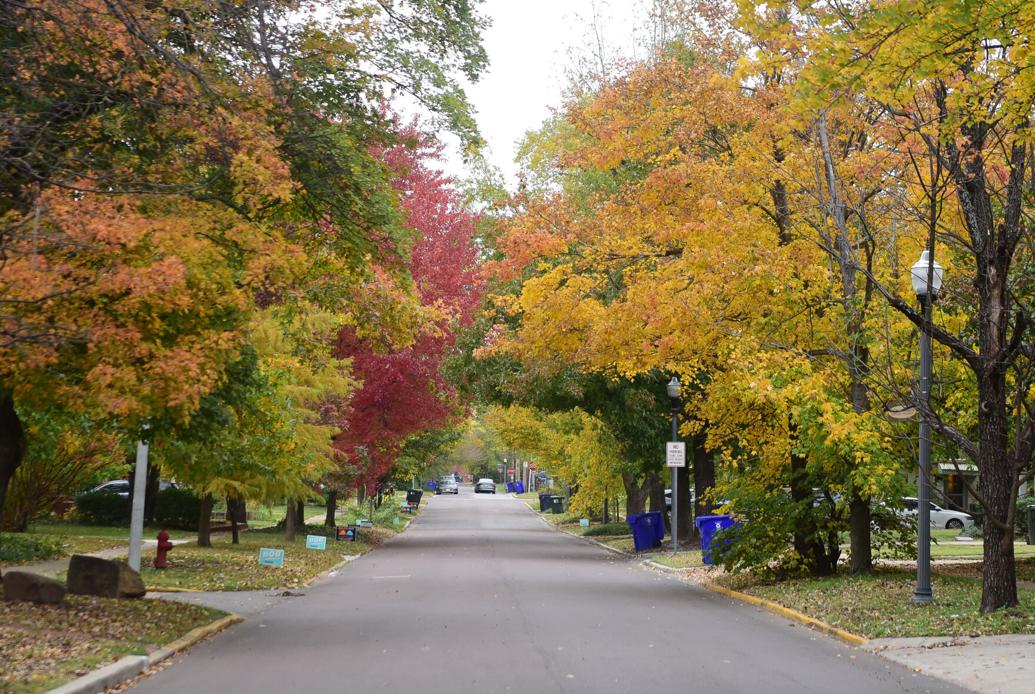 Norman named Tree City USA by Arbor Day Foundation | News ...