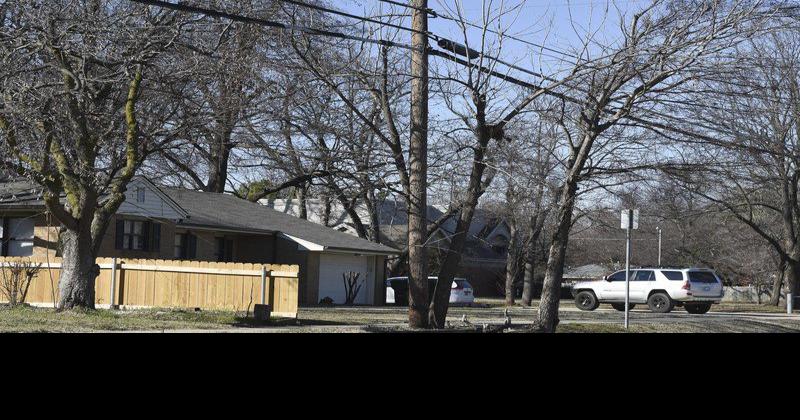 Free trees offered: ‘Right Tree, Right Place’ campaign donates 300 ...