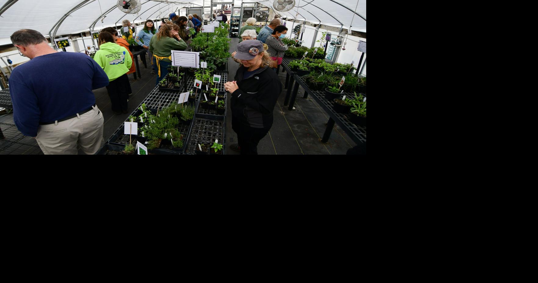 County Master Gardeners' sale returns later this month | News ...