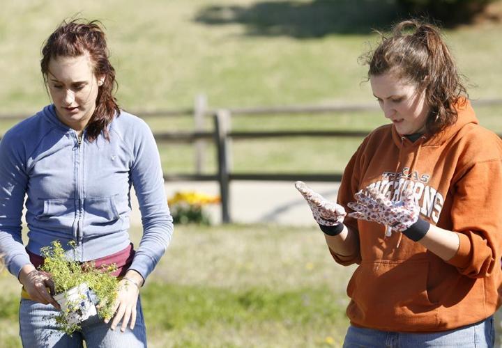 red robin award girl scouts coloring pages