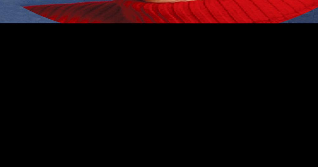 Nancy Minyon Spear | Edmond | normantranscript.com