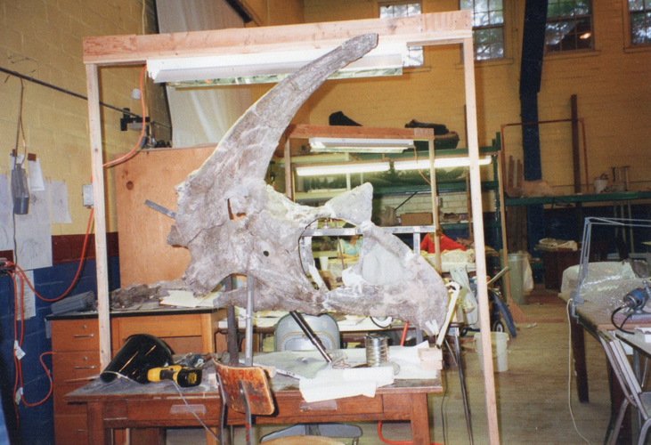 Record-breaking dinosaur on display at Sam Noble Museum helps highlight ...