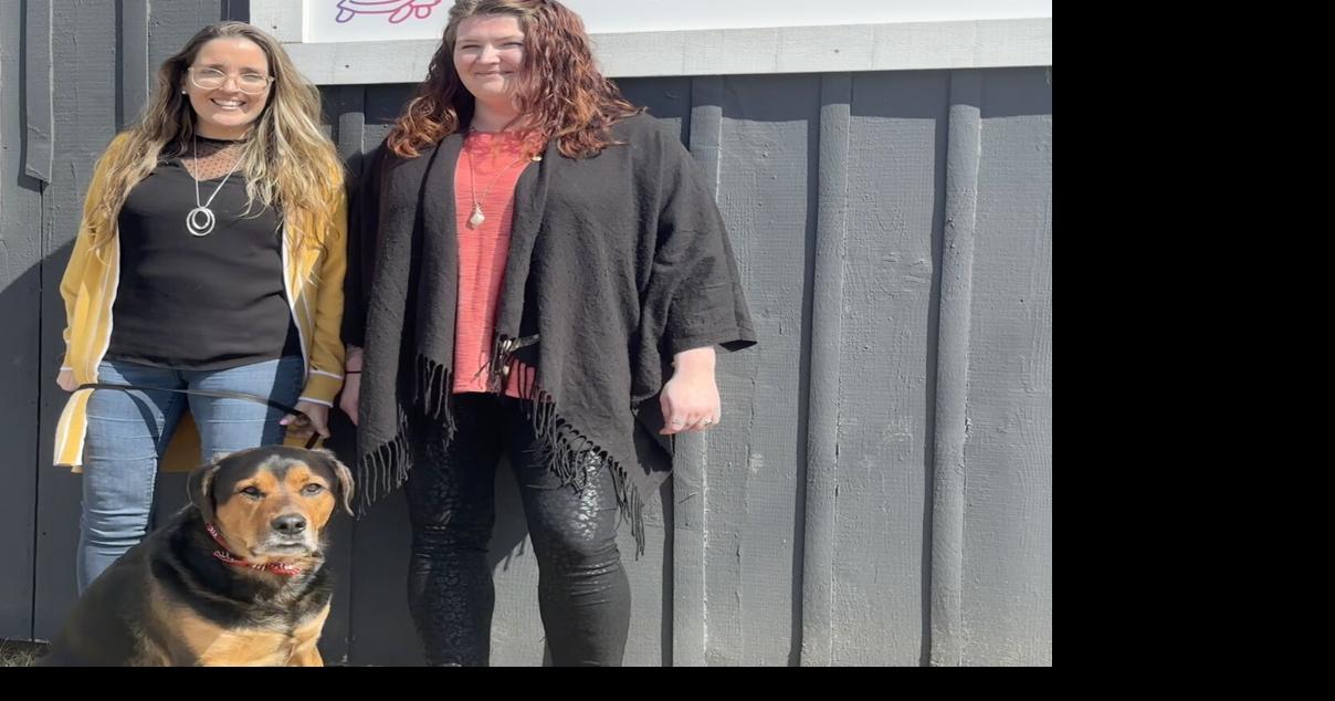 Almaguin pet store wants to help stop pet abandonment