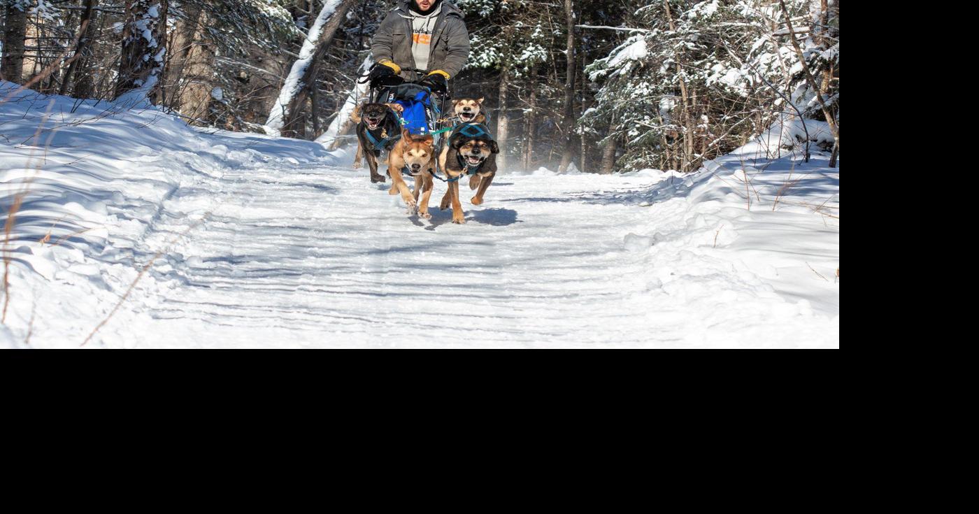 South River site for dog sled races first weekend in March