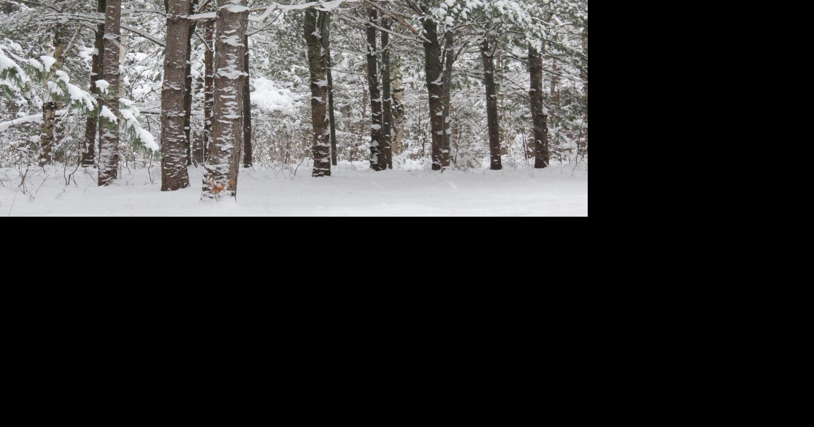 Let’s look at the ethereal beauty of winter in Parry Sound-Muskoka