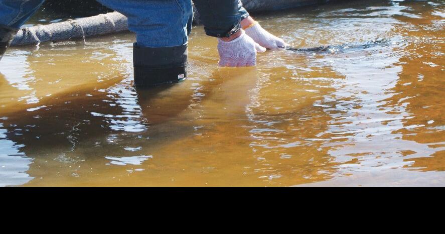 Walleye stocking stalls at Lake Nipissing hatchery