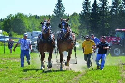 5 things to do in the Almaguin, North Bay area this Labour Day weekend ...