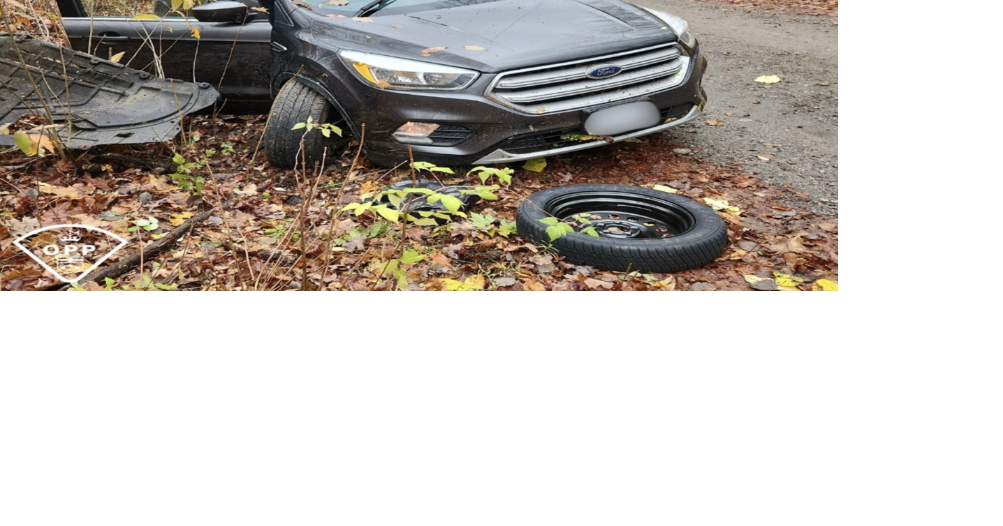 Driver fled from officers, struck cop cruiser in North Bay