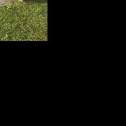Concrete benches damaged at Sundridge Children's Garden