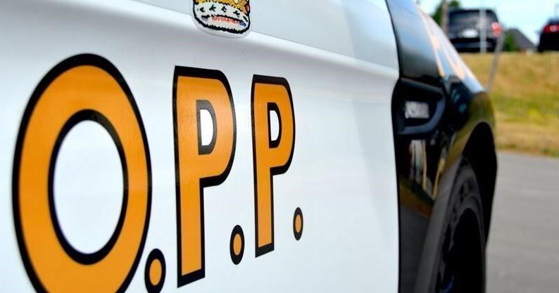 Sundridge man facing slew of charges for Sundridge, Machar break-ins