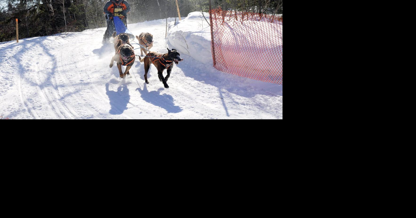 Dog sled racing makes comeback in Kearney