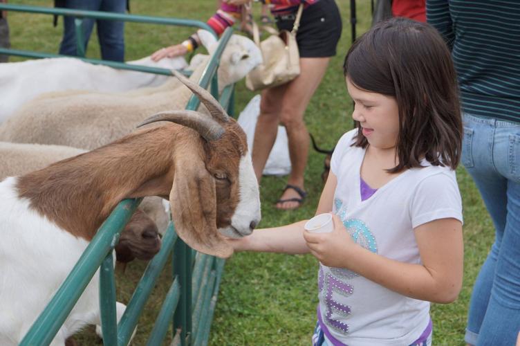 5 things to do in the Almaguin, North Bay area this Labour Day weekend ...