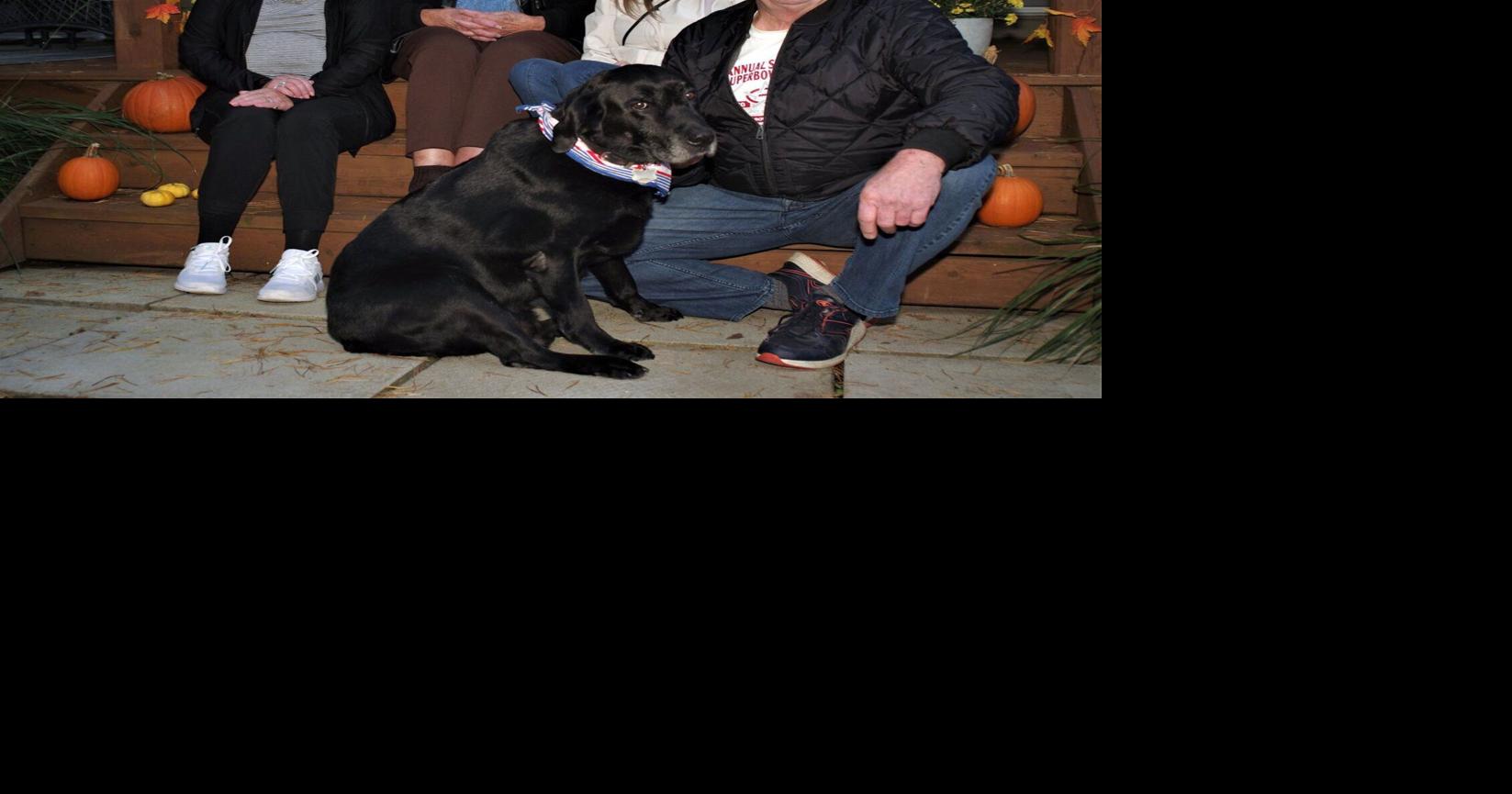 Black Lab reunited with owners after going missing for 6 days in Machar ...