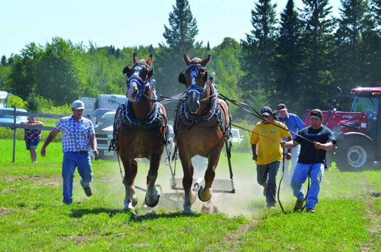 5 things to do in the Almaguin, North Bay area this Labour Day weekend ...