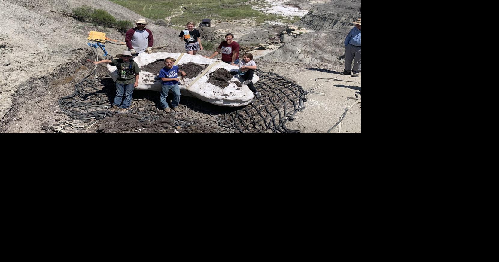 ‘Discovering Teen Rex’ shows power of exploration | Archives ...