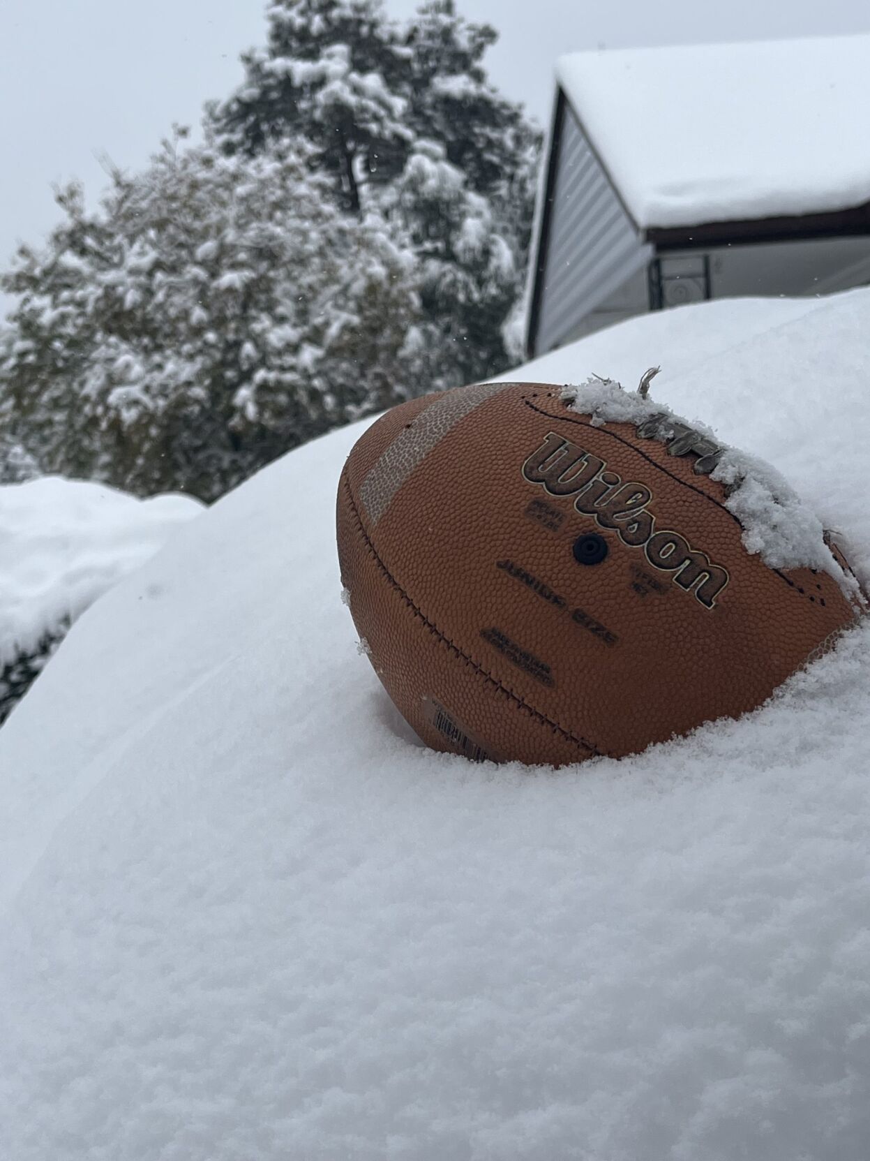 Updated: Snowstorm disrupts high school sports playoffs this weekend ...
