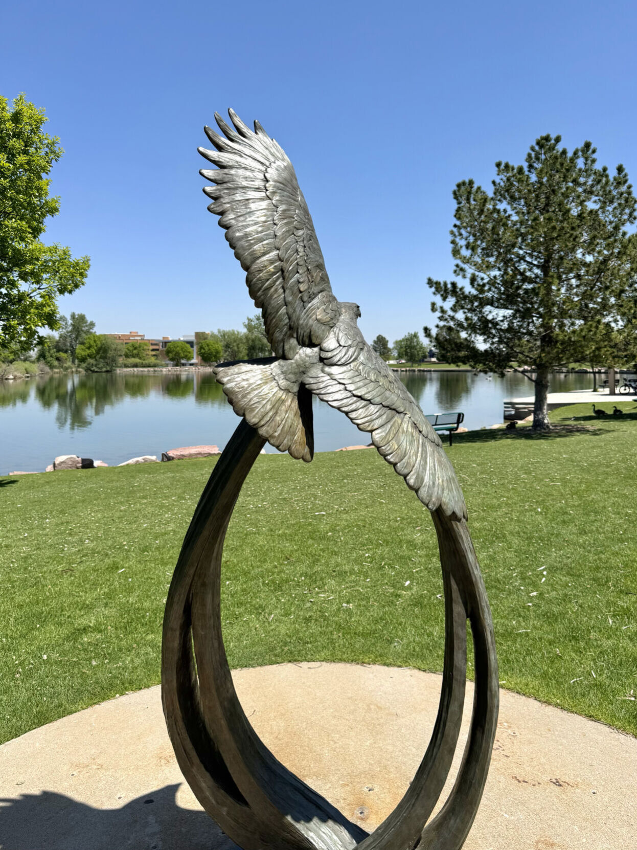 Bronze hawk lands in Northglenn’s Art on Parade collection | Local ...