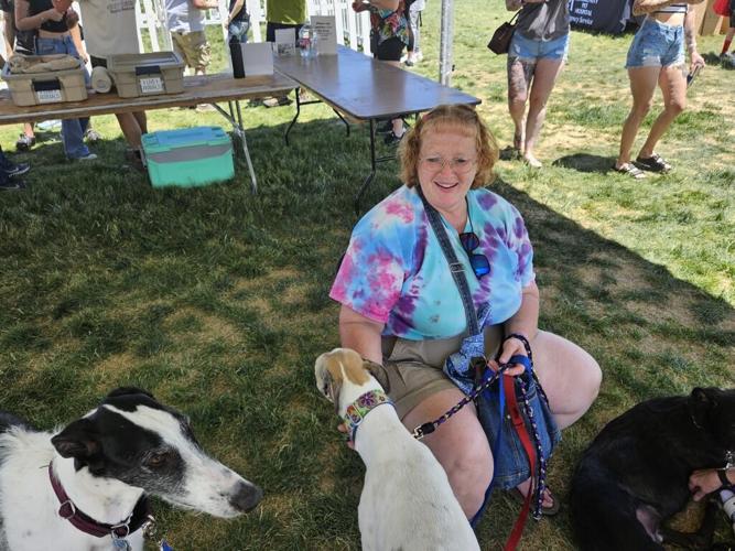A sunny day for Thorntonfest | Archives | northglenn-thorntonsentinel.com