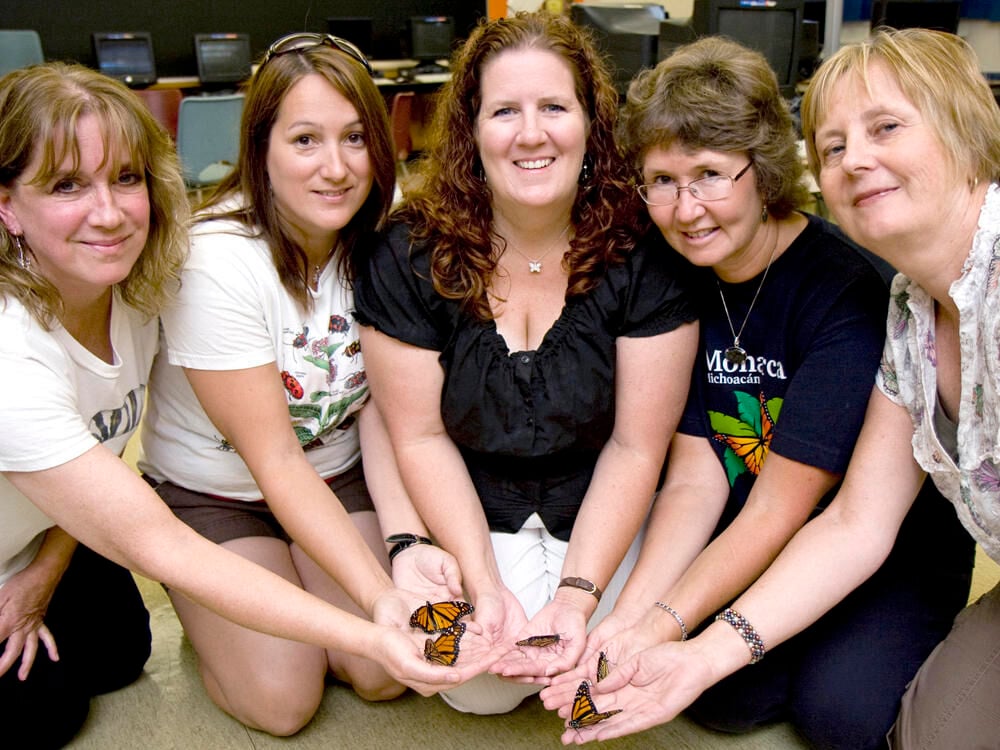 Brighton Public School teachers go butterfly-crazy over provincial award