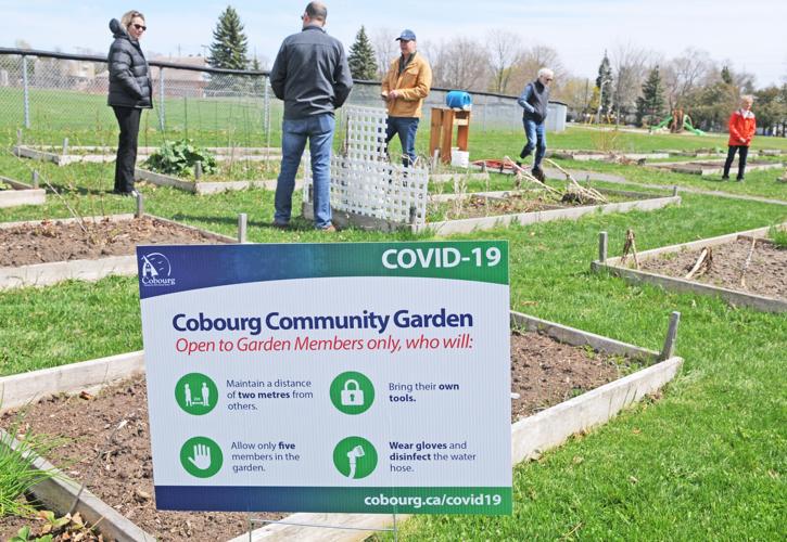 VIDEO: Town of Cobourg opens community garden for members only