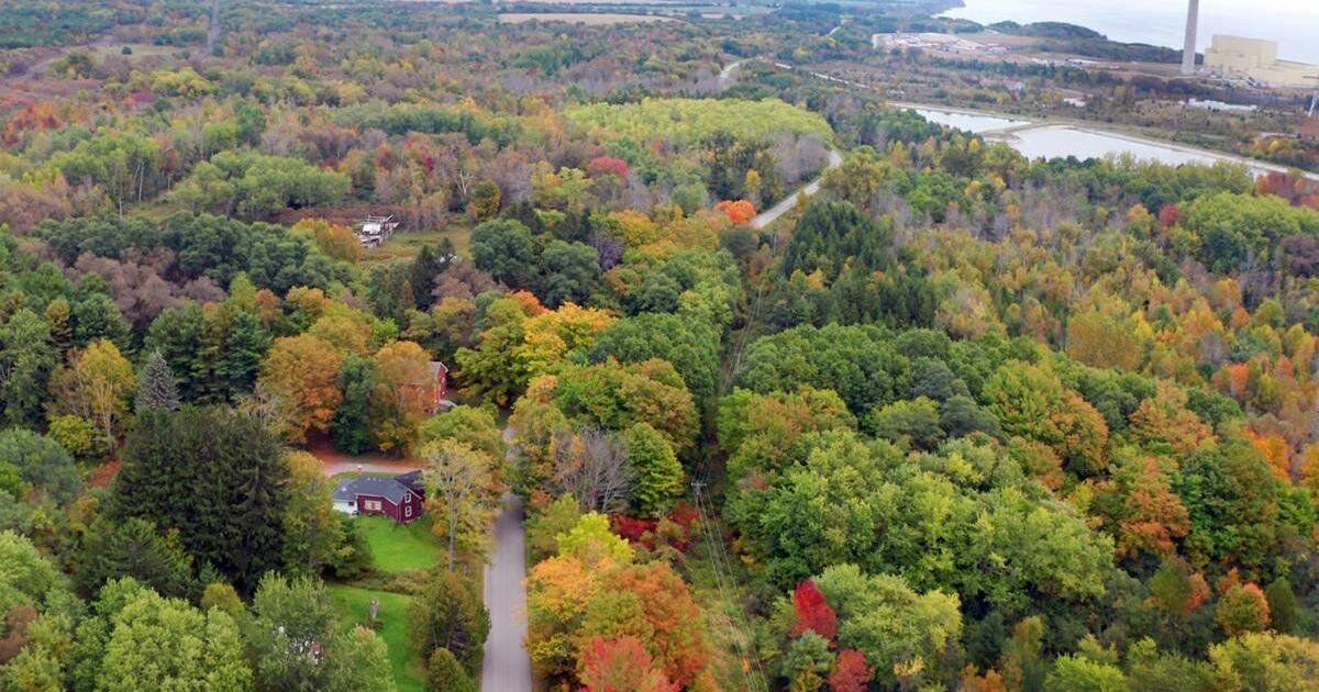 Port Hope area eyed as potential site for new power plant