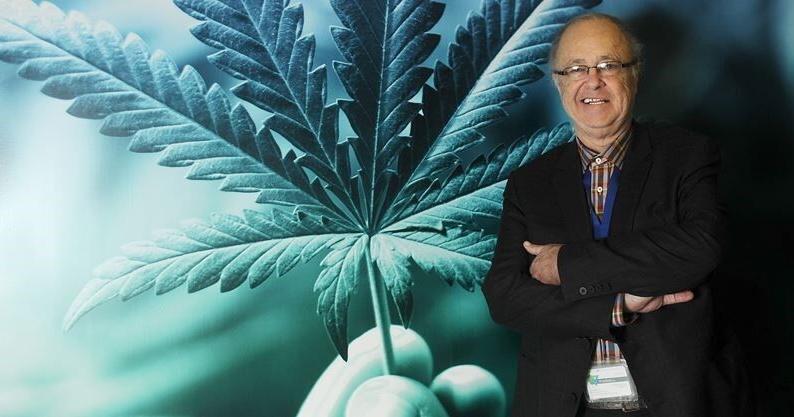 FV Pharma signs financing agreement to develop world’s largest indoor ...