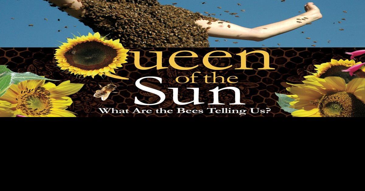 The fate of bees subject of documentary to be shown at foundation AGM