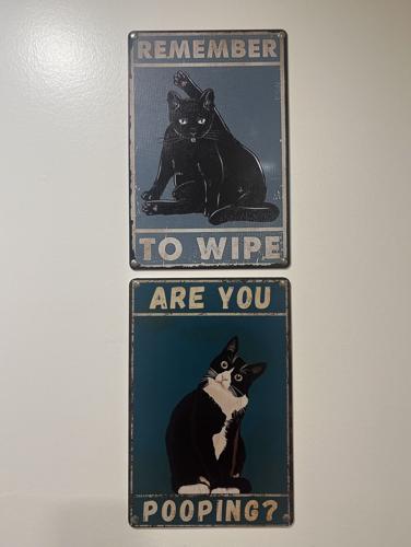 Know before you go to Toe Beans Cat Cafe in Port Hope