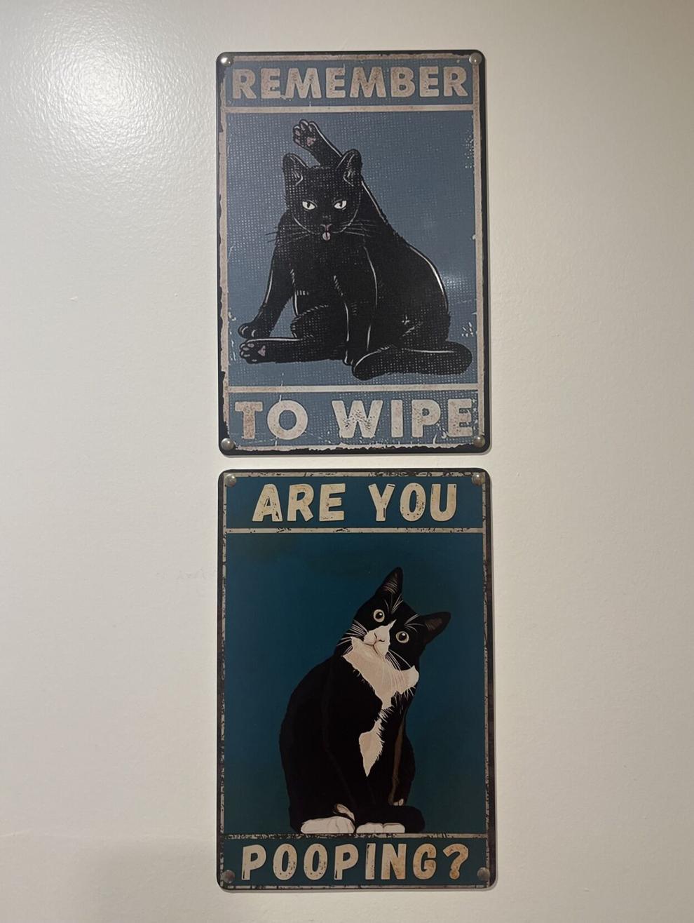 Know before you go to Toe Beans Cat Cafe in Port Hope