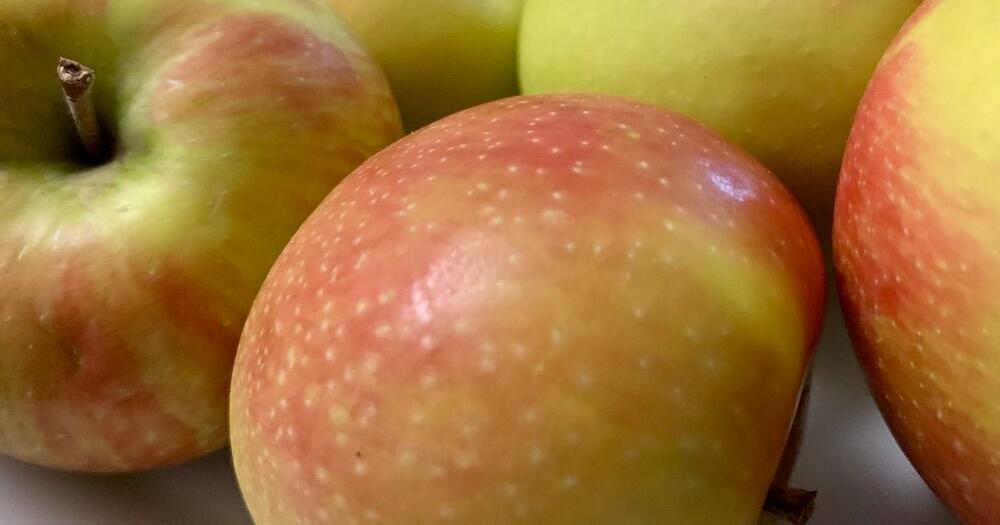Brighton Applefest: ‘The intent is to have a normal event in 2022’