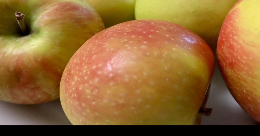 Brighton Applefest: ‘The intent is to have a normal event in 2022’