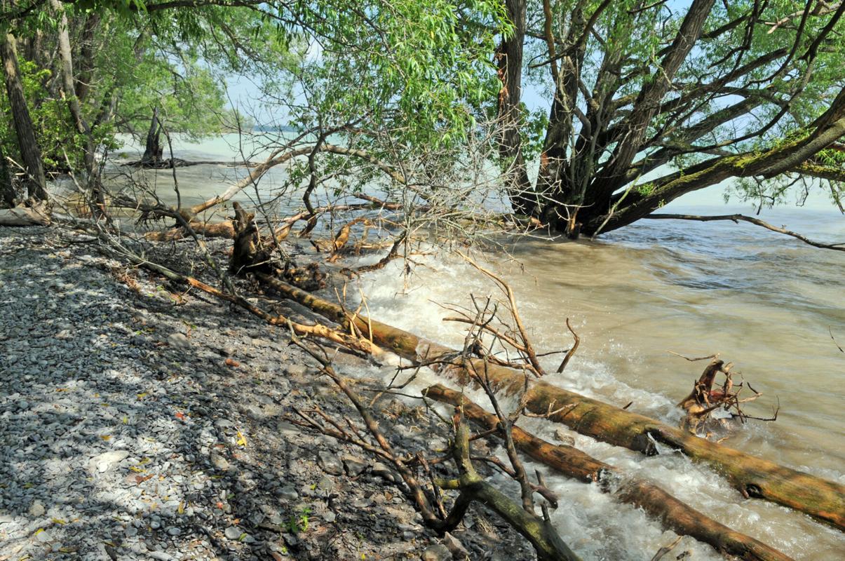 Roads, East Beach, waterfront trail in Port Hope closed due to flooding