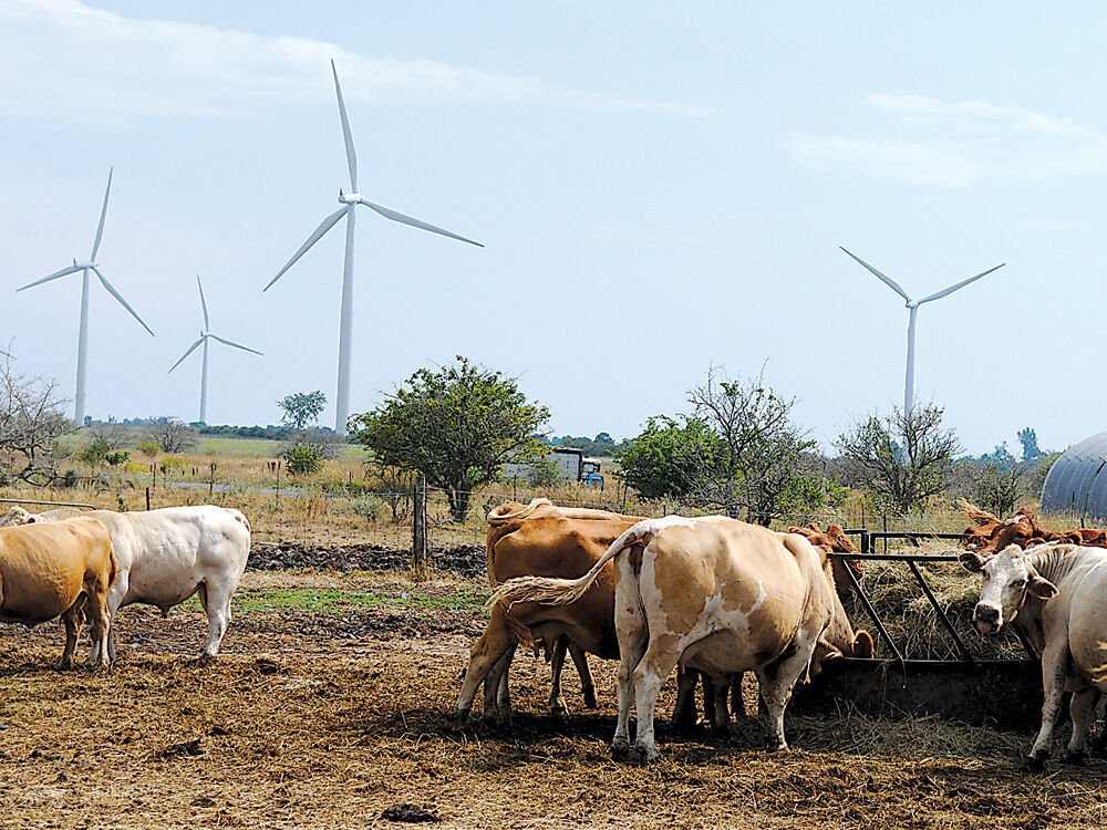 Wolfe Island provides look into the life of wind farms