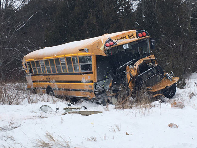 No injuries as school bus stuck on tracks hit by train