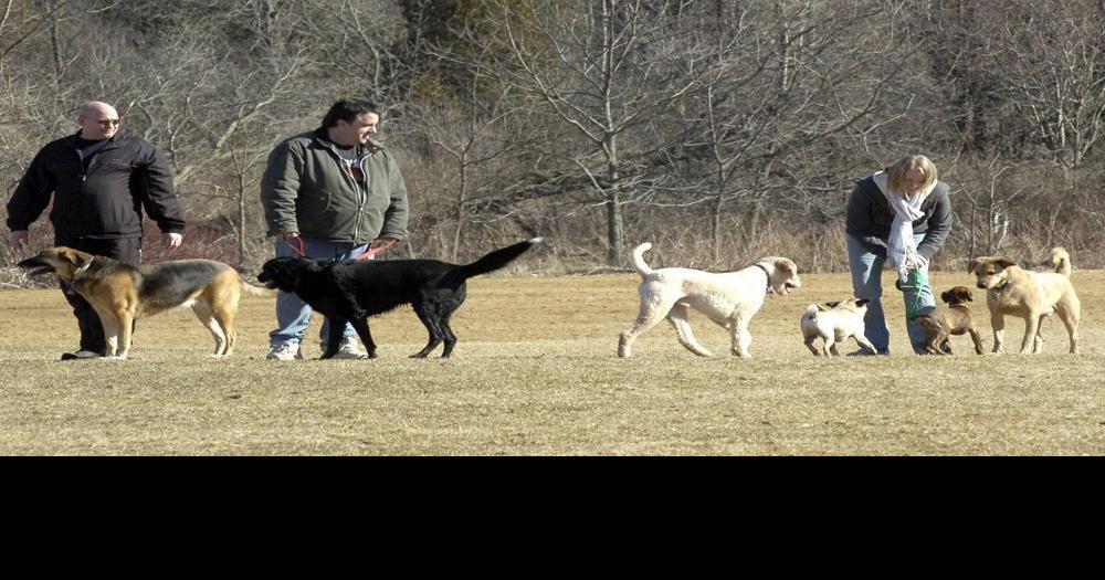 Conservation authority seeks crack-down on unleashed dogs