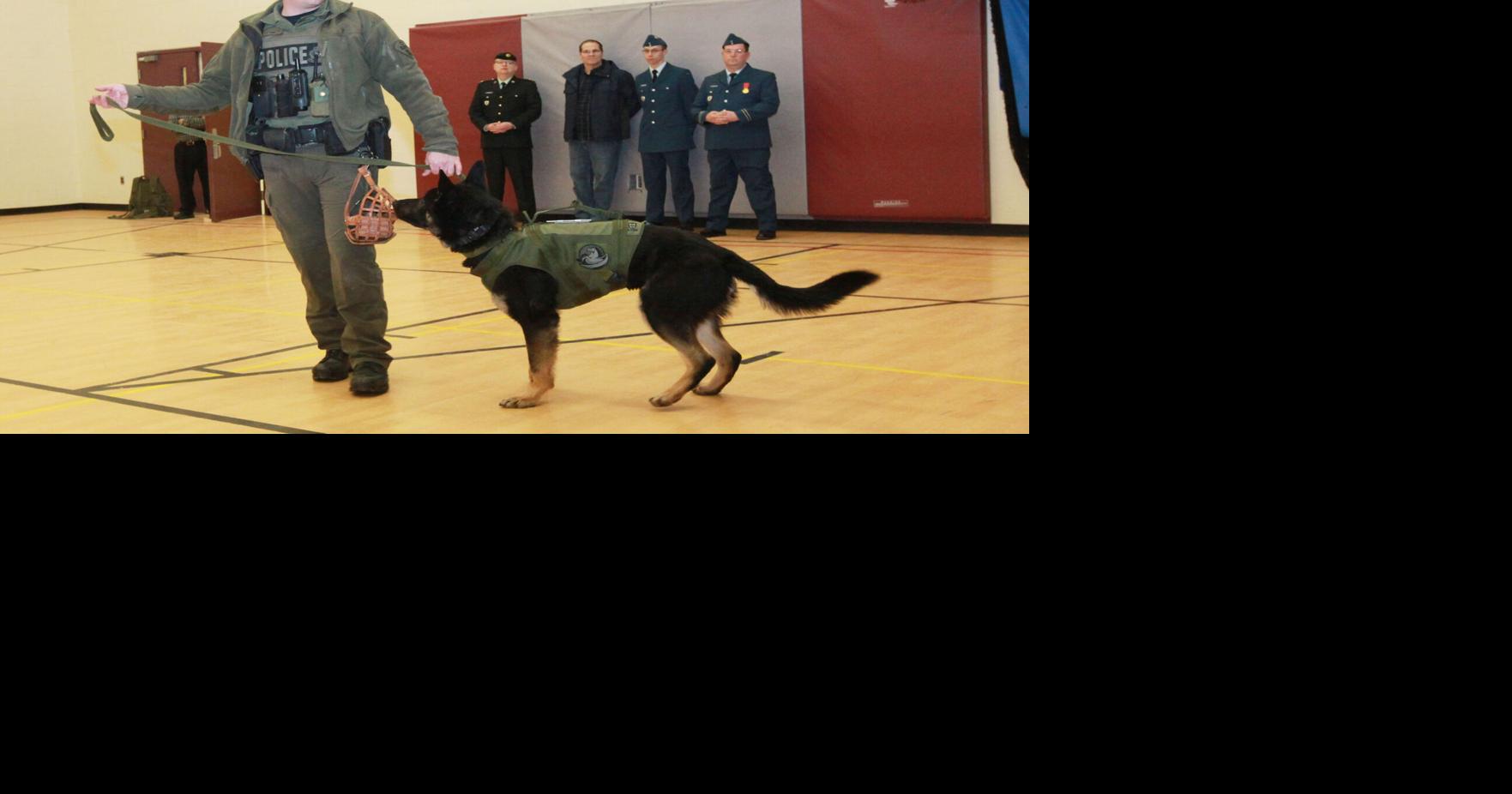 Northumberland cadets get up-close learning experience with OPP K9 unit