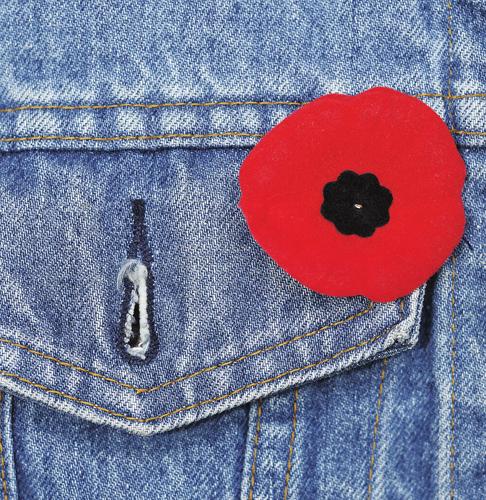 How to keep your Remembrance Day poppy from falling off