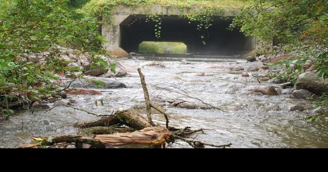 Rocky ramp improves local fish passage