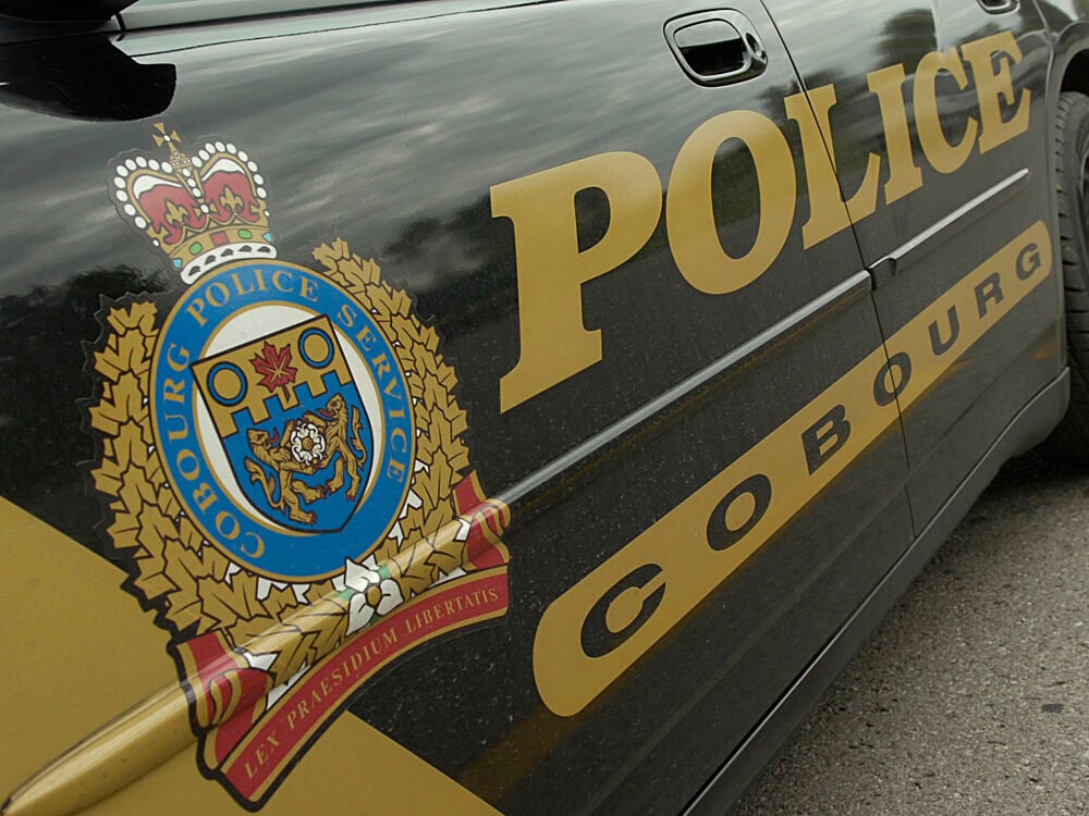 Police kept busy with domestics, drivers