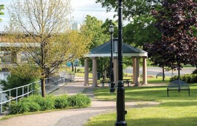 ‘Branch out’: Port Hope’s 1st Tree Party May 13