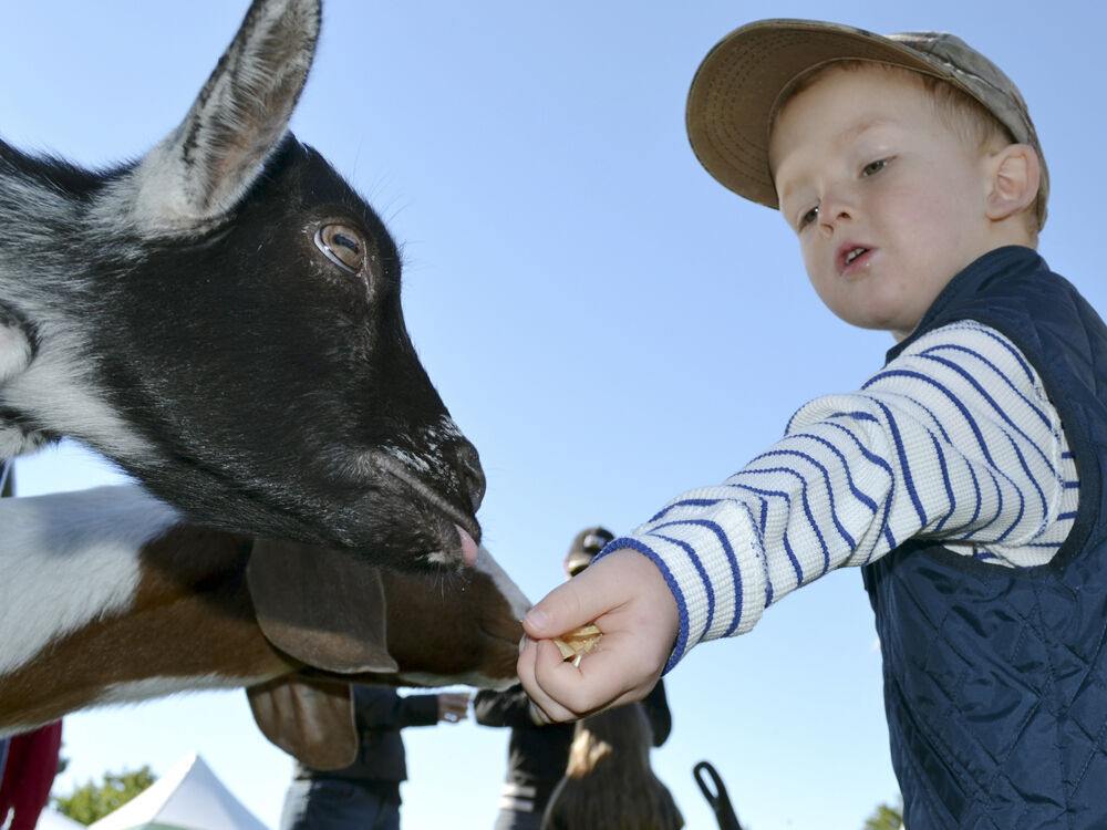 Fun to be had at the Port Hope Fair this weekend