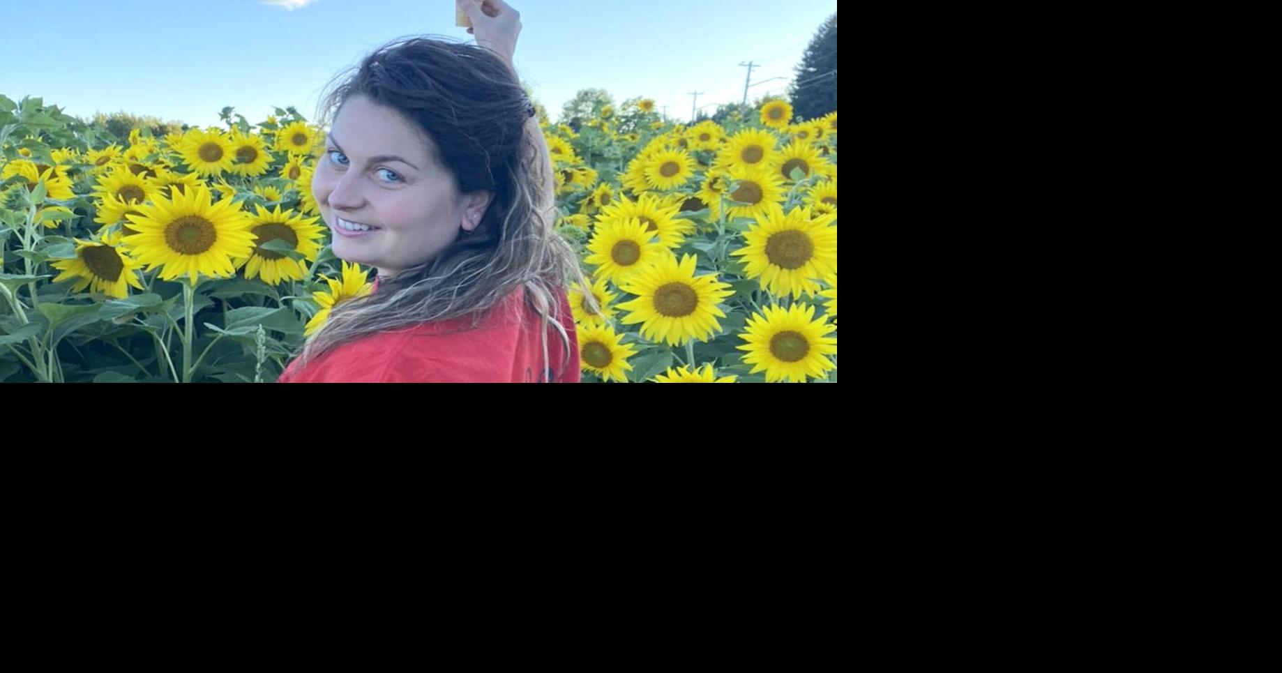Cheer Farms’ sunflowers peaking, ready for photo ops, selfies in Brighton