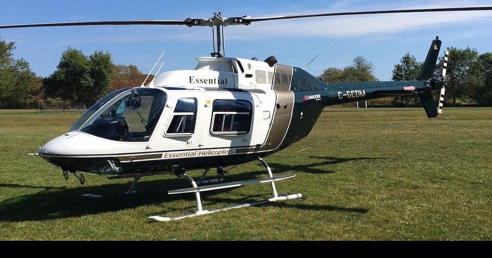 Brighton Applefest visitors can go up, up and away