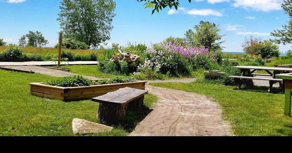 Have some fun with the library at the Cobourg Ecology Garden
